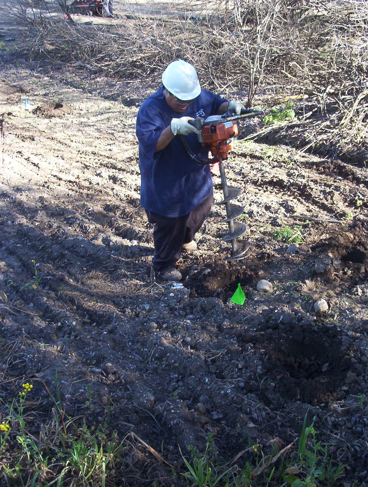 Native Plant Revegetation Program