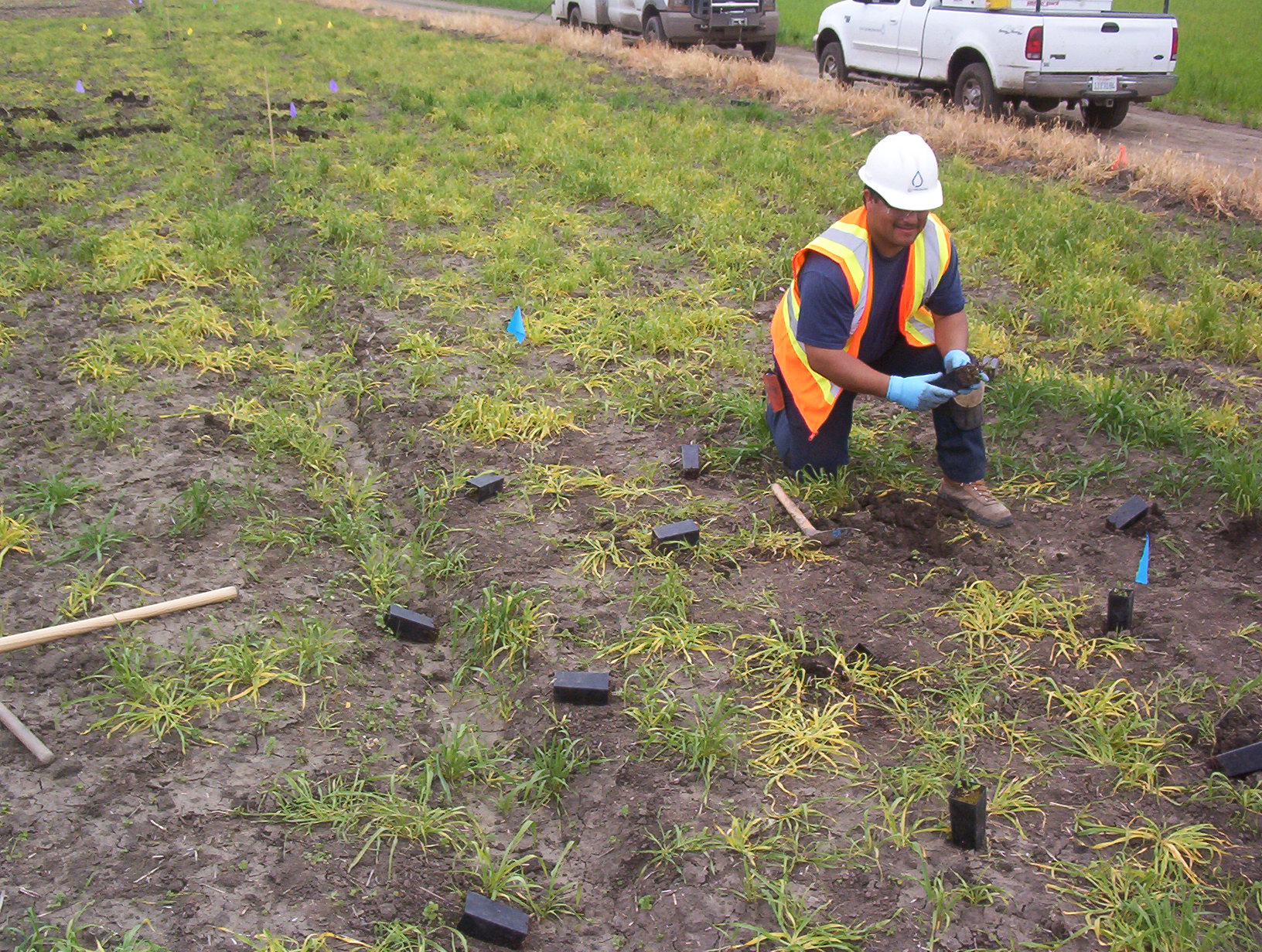 Native Plant Revegetation Program